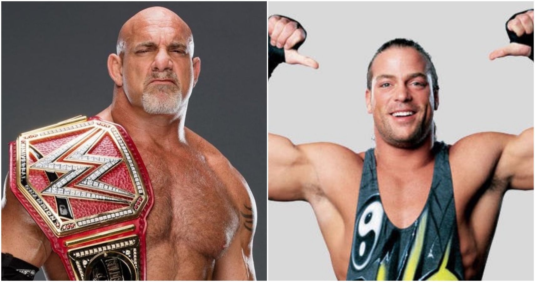 10 Wrestlers You Forgot Teamed With Goldberg | TheSportster